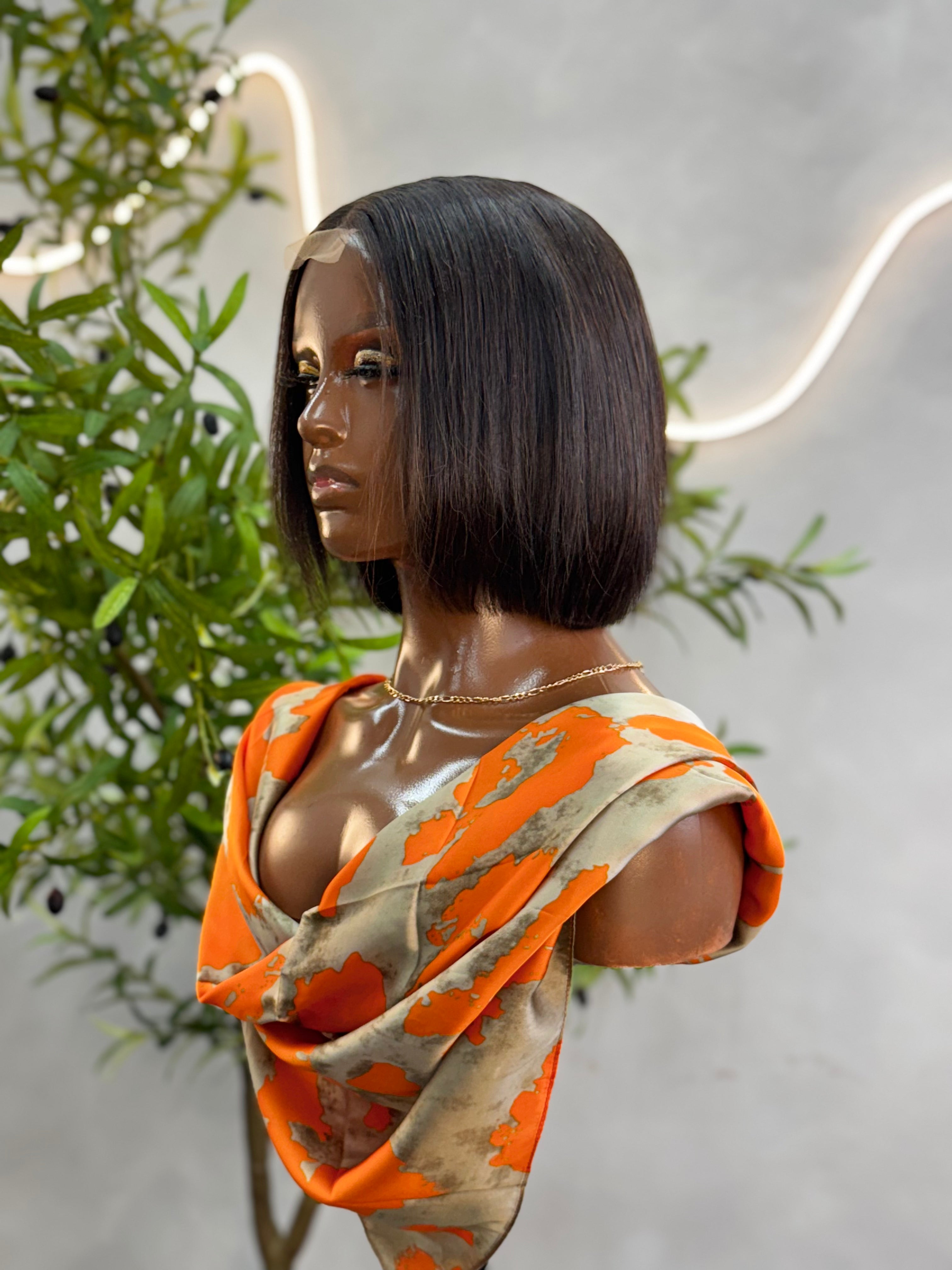 Luxury Human Hair Wig 2X6 10" - Bone Straight – Braids and Wigs